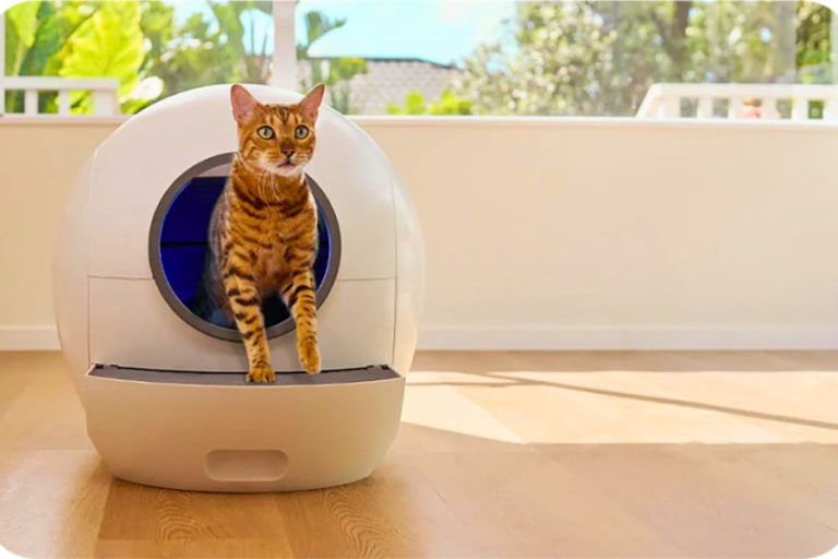 Pamper Your Pets with Els Pet - Shopping for Cool Moms